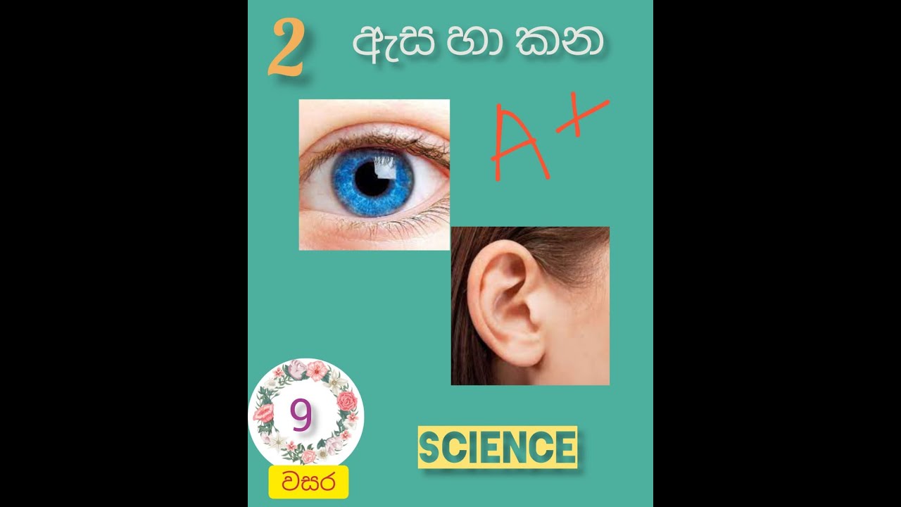 Grade 9 Science Lesson 2 I Eye and Ear - YouTube