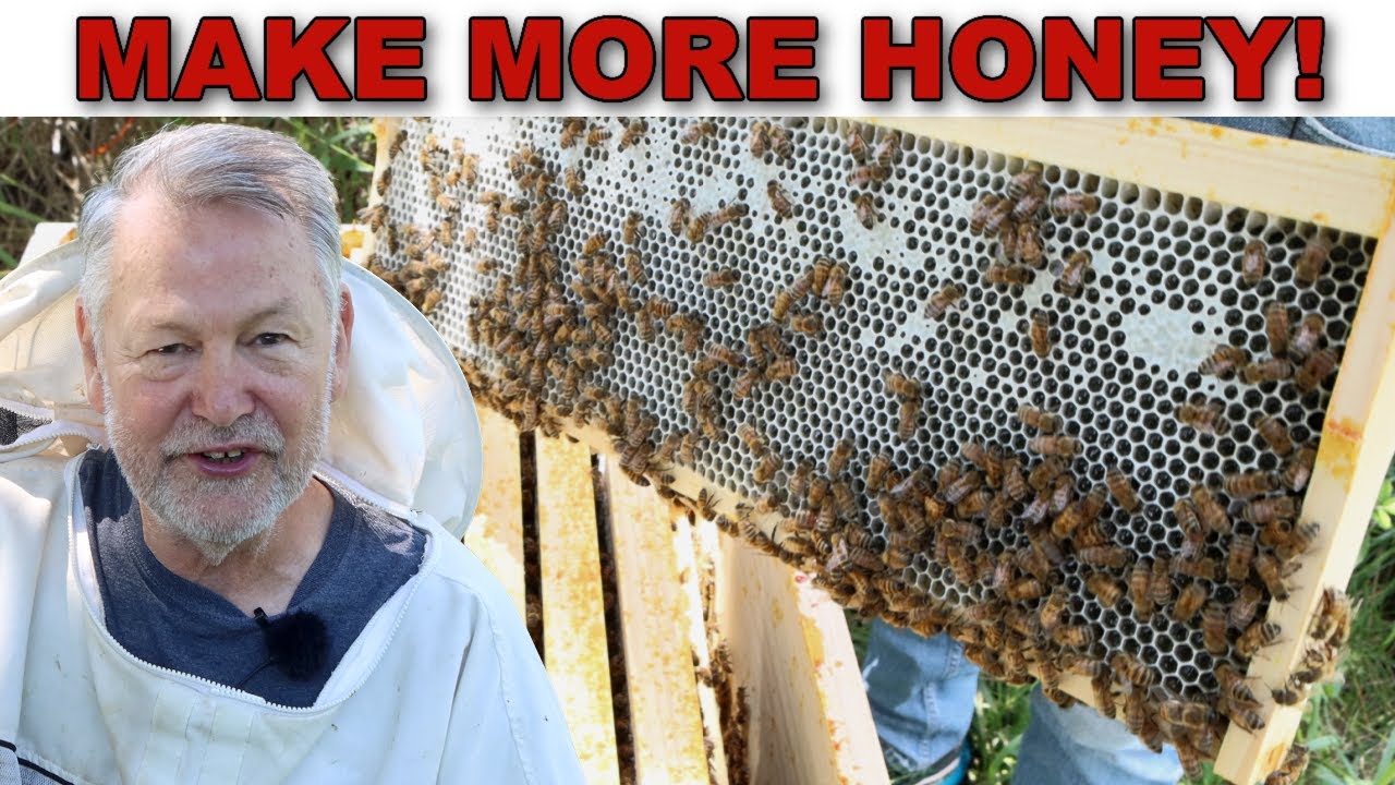 Beekeeping Tip For Getting So Much More Honey - YouTube