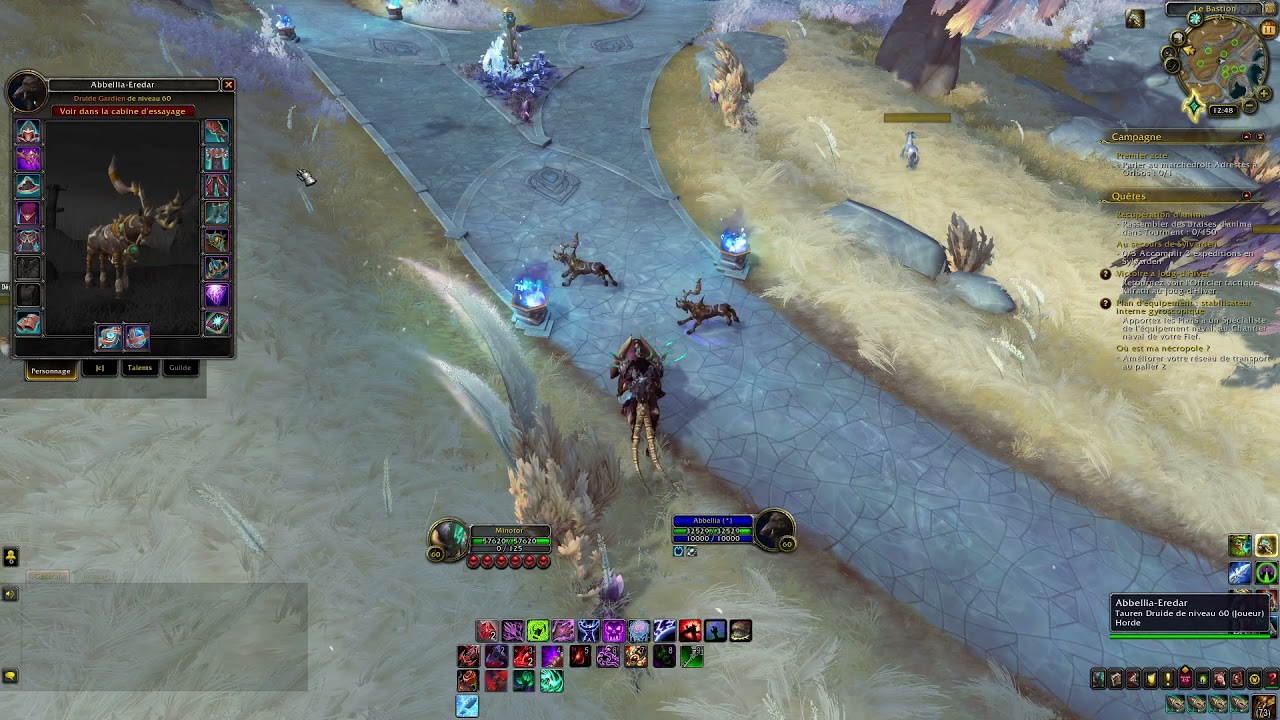 World of Warcraft Shadowlands bots - YouTube