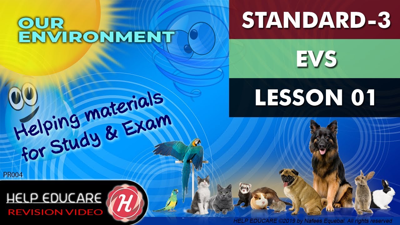 STANDARD 3 | EVS | LESSON 01 | Our Environment (With Audio) - YouTube