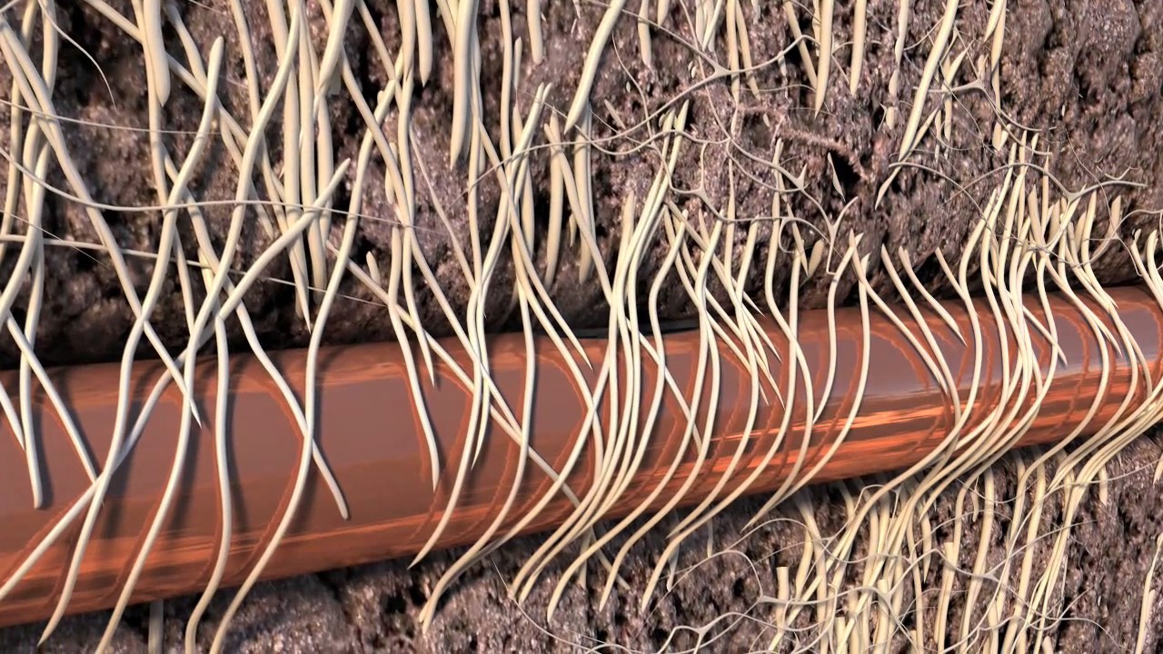 XFS Subsurface Dripline - YouTube