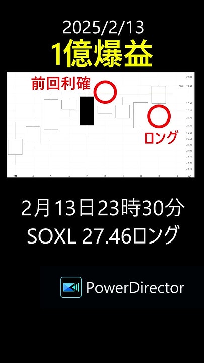 【2025/2/13】SOXL 1億爆益 #sorts #soxl #sox #半導体 #投資 #トレード - YouTube