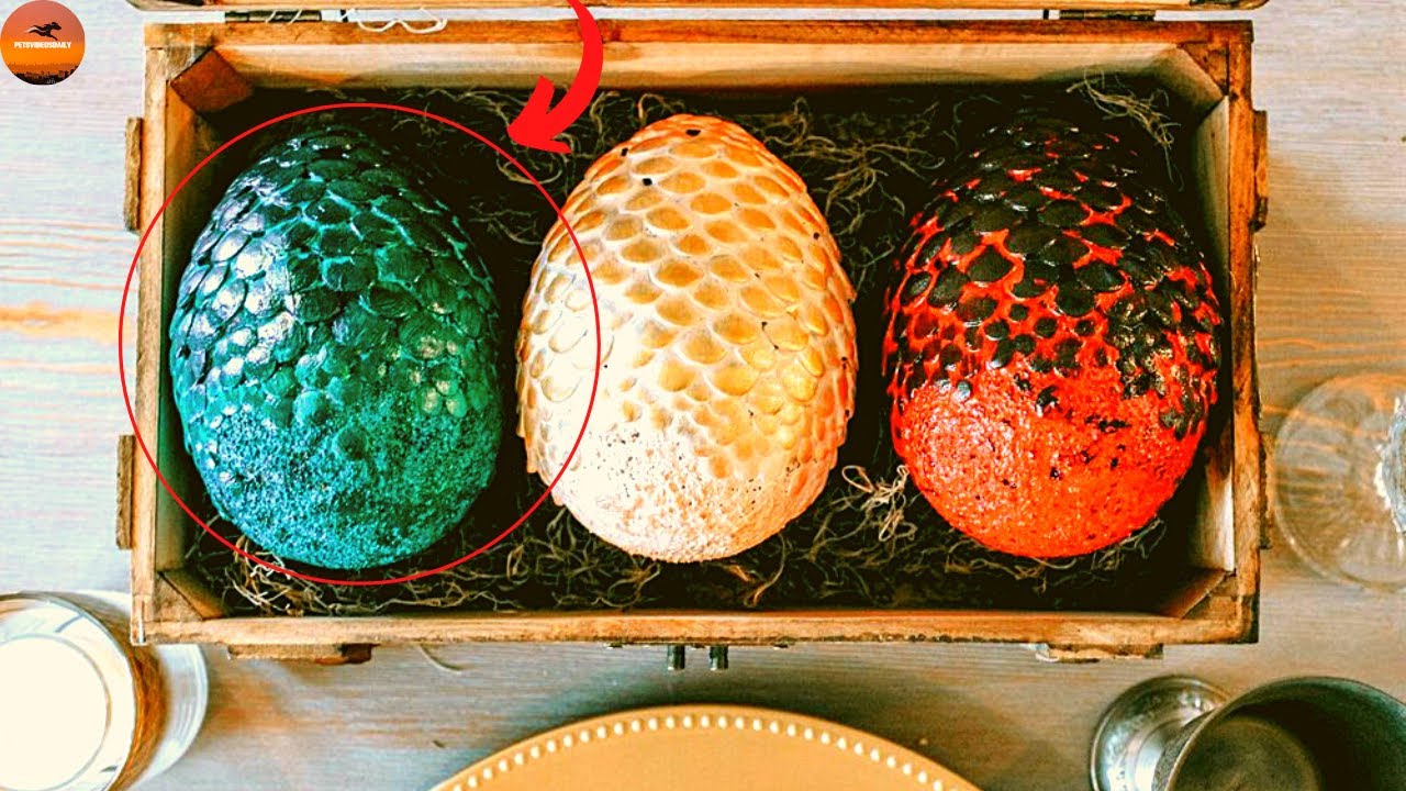 Most Unique Bird Eggs on Earth - YouTube