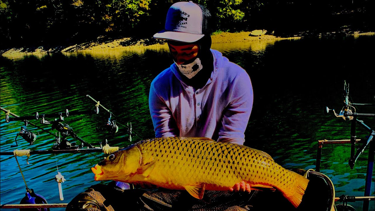 26 lb Beautiful Dale Hollow Common Carp! - YouTube