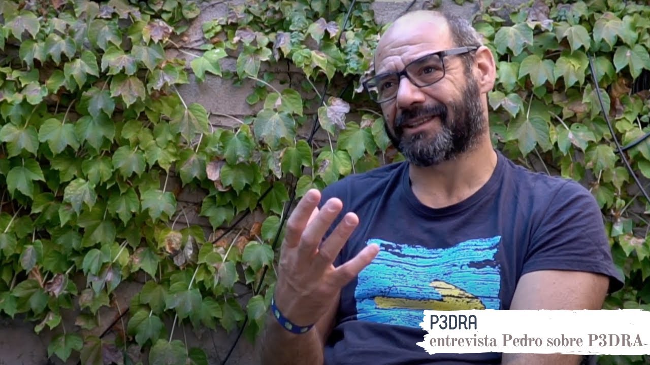 Pedro sobre P3dra | P3DRA | Entrevista - YouTube