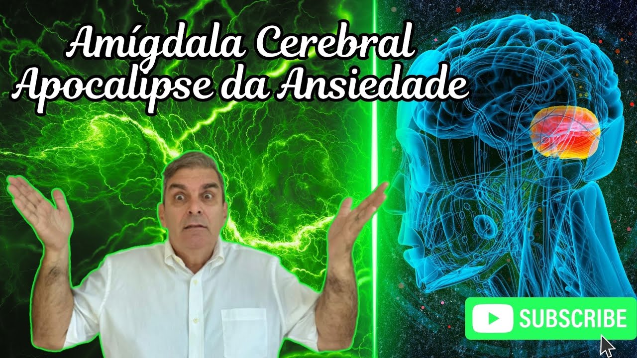 AMÍGDALA CEREBRAL E ANSIEDADE - YouTube