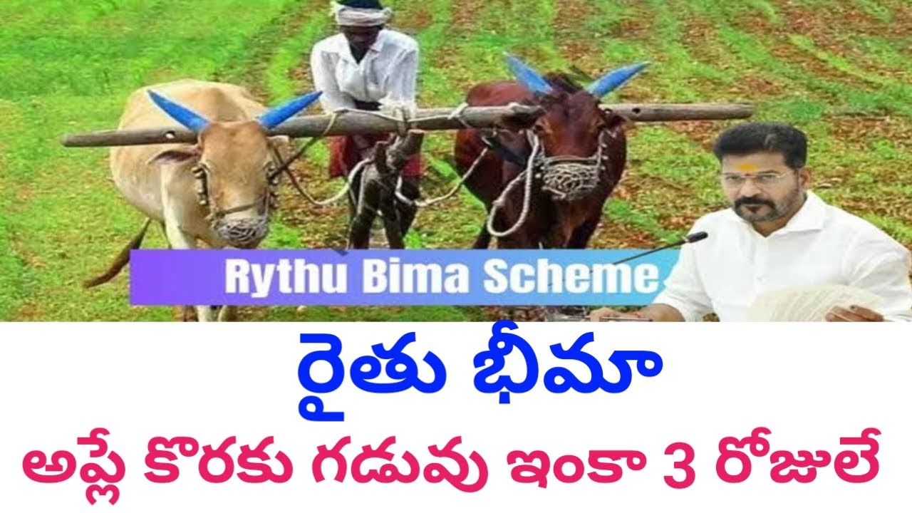 రైతు భీమా గడువు 3 రోజులే//rythu bheema apply last date 2025 - YouTube