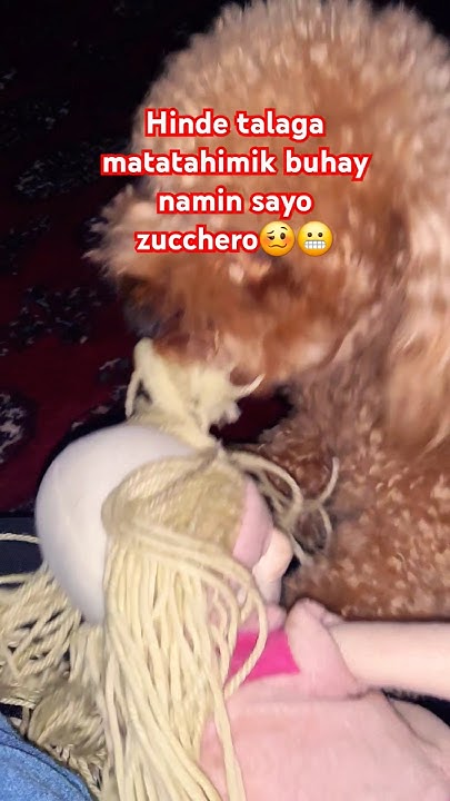 V7 Paano ka makapahinga pag ganito haist. #ofw #ofwlife #greece #dog - YouTube