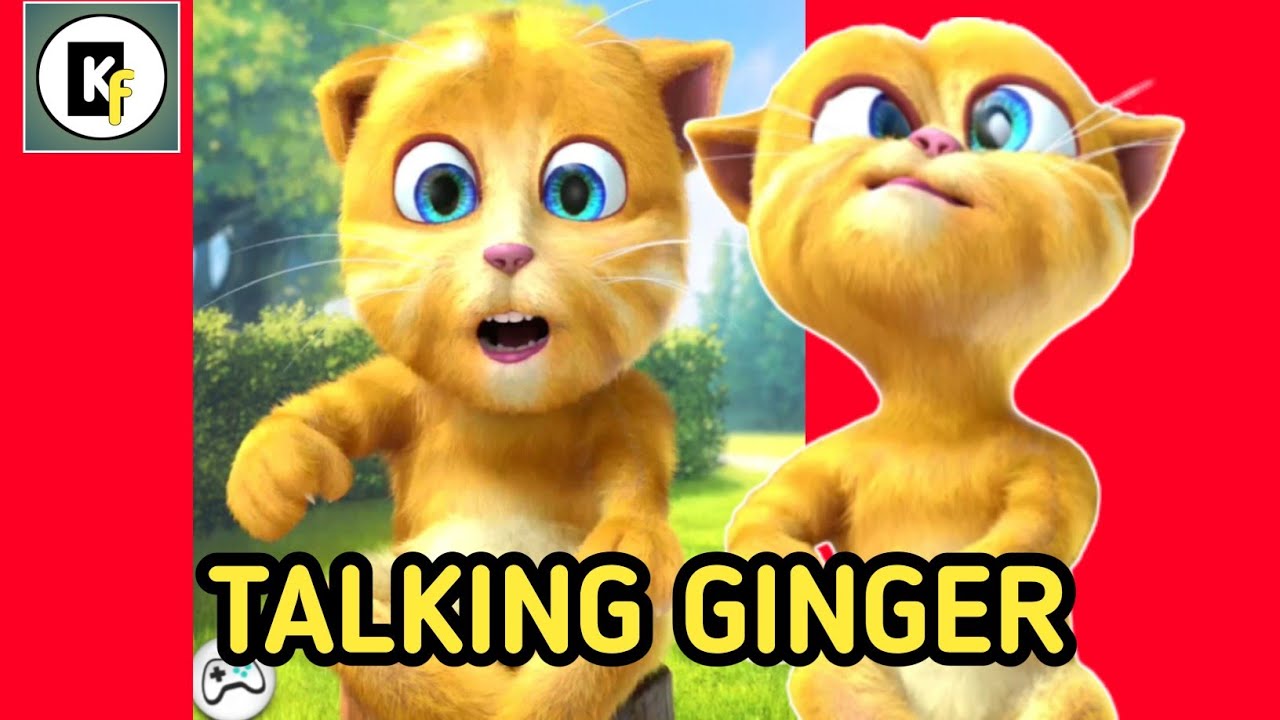 Talking Ginger🐈🐈🐈🐈 - YouTube
