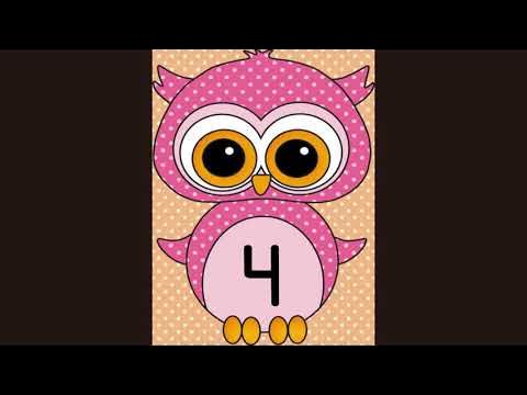 Learn Numbers 0-20 with Pink Owl Flashcards | Fun Counting Game for ...