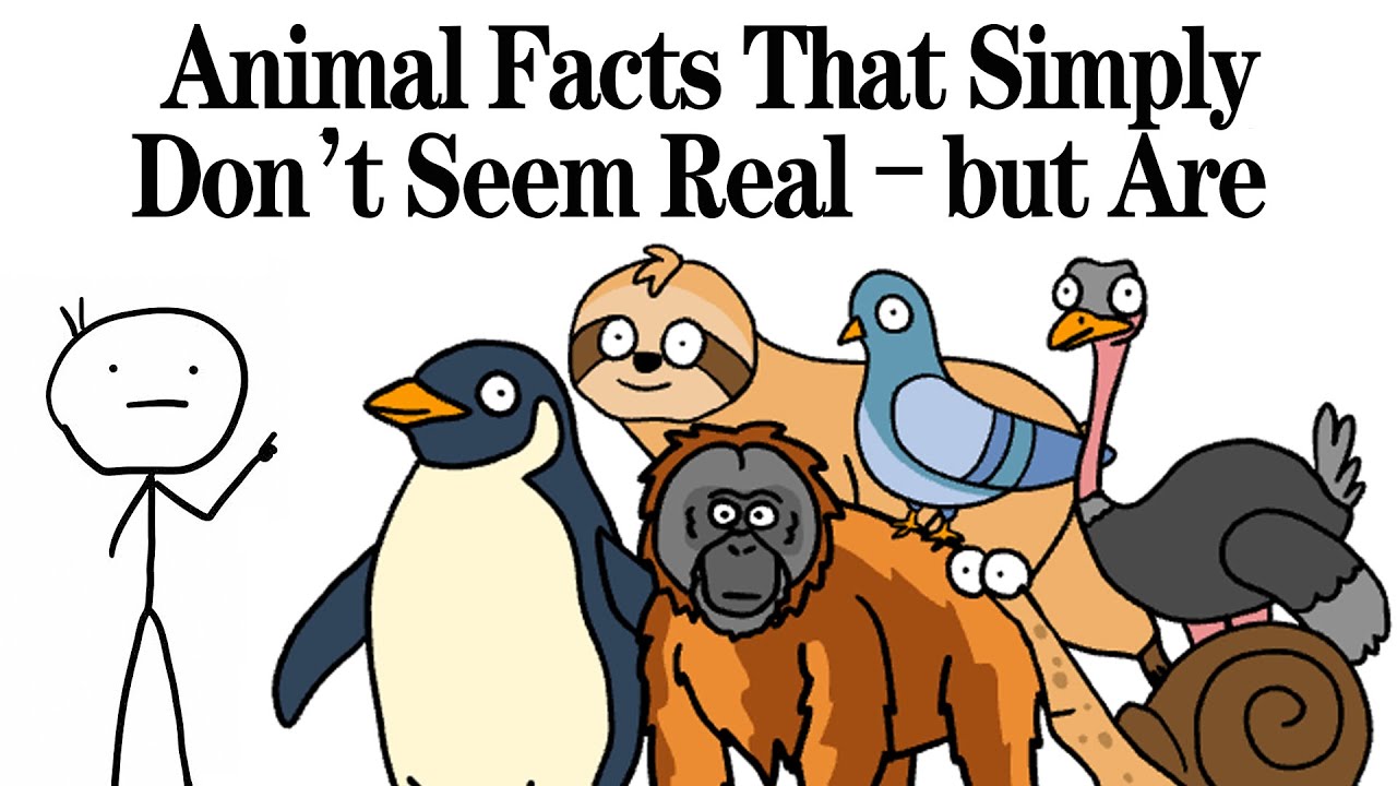 Animal Facts That Simply Don’t Seem Real–but Are! - YouTube