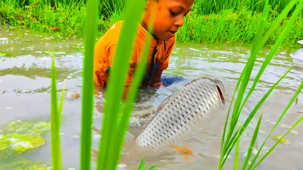 amazing hand fishing video - smart boy catching fish by hand - hand ...