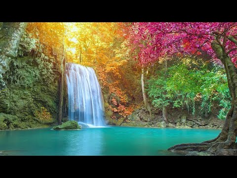 Wonderful Nature Relaxation sounds and video that transfer you into another world😍😱| non copyrighte|