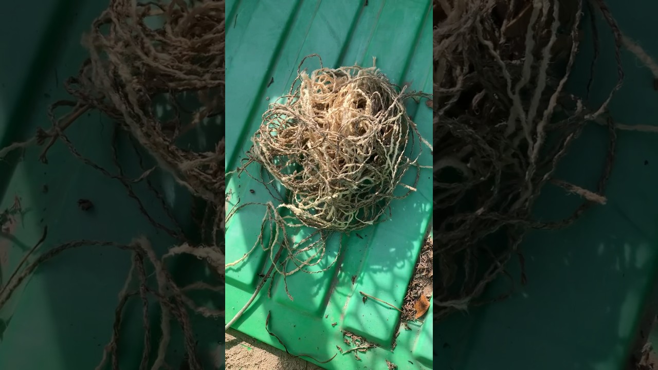 The mystery of the missing ball - YouTube