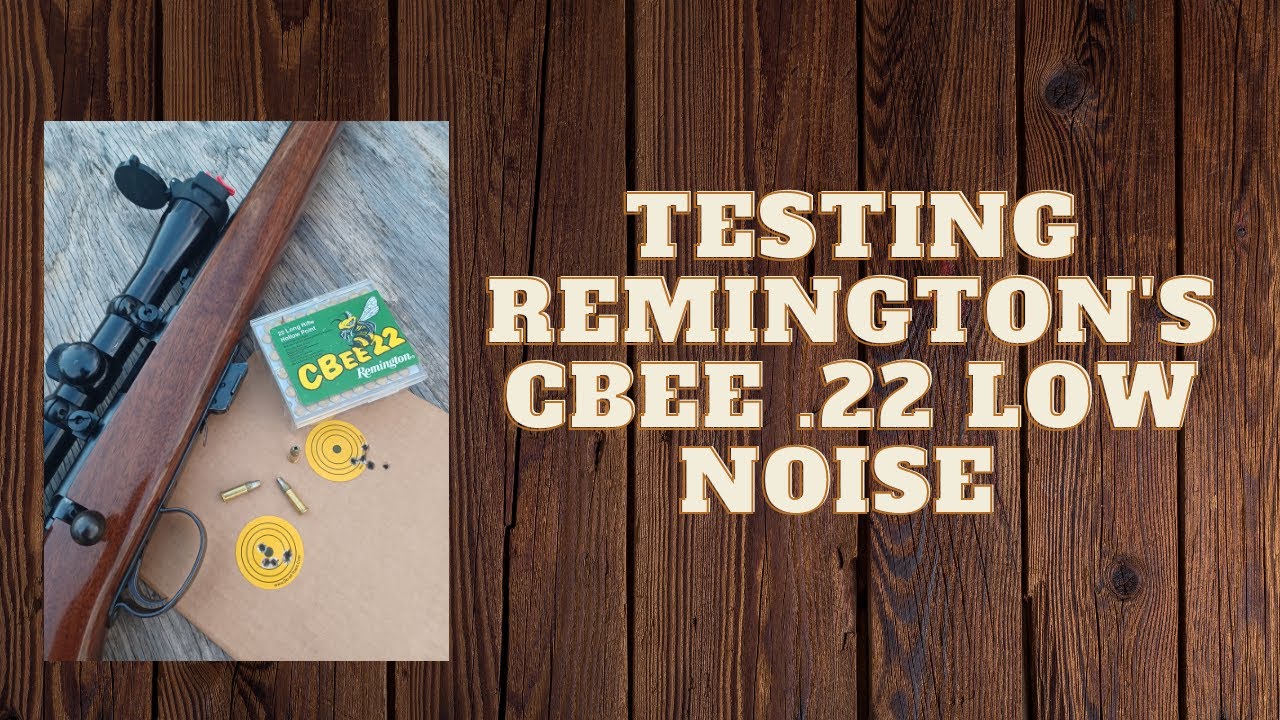 Testing Remington's CBEE .22 Low Noise - YouTube