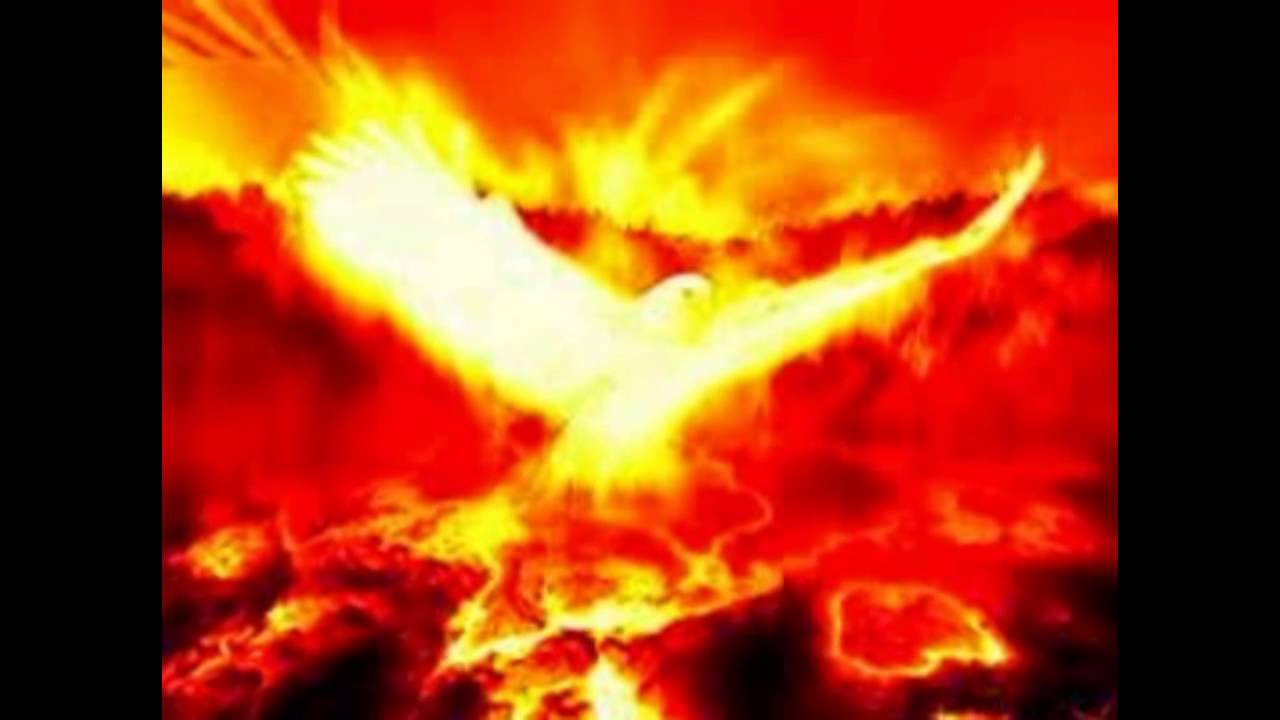 Red and Blue Phoenix - YouTube