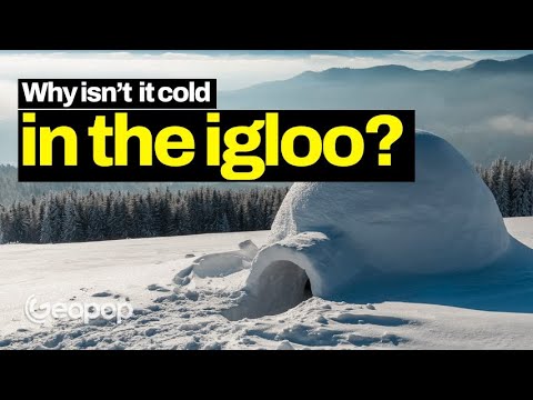 Why is it not cold inside igloos even though they are made of ice? - YouTube