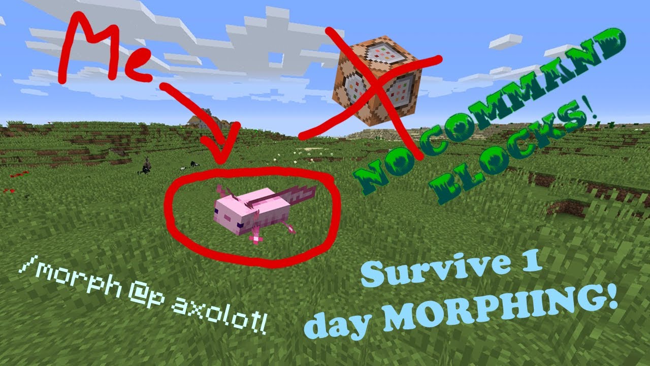 Surviving in Minecraft Using a Morph Addon! - YouTube