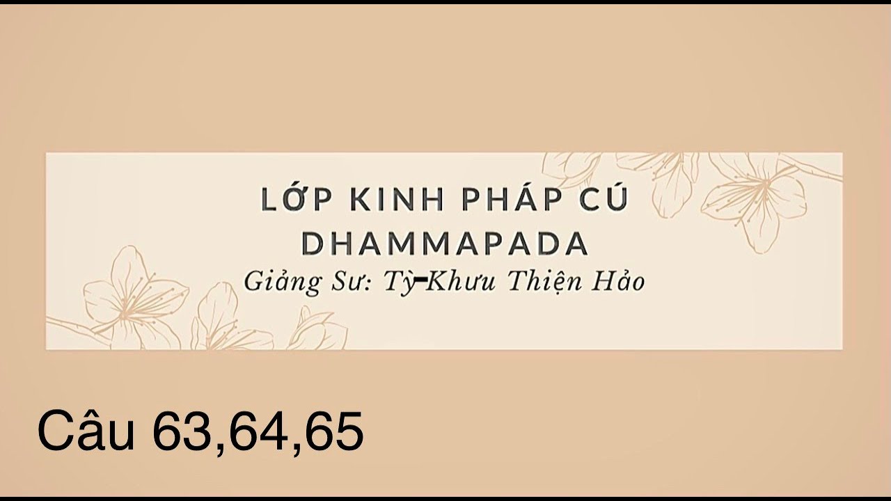 Lớp Dhammapada Kinh Pháp cú - Câu 63,64,65 - Giảng Sư: Tỳ-khưu Thiện ...