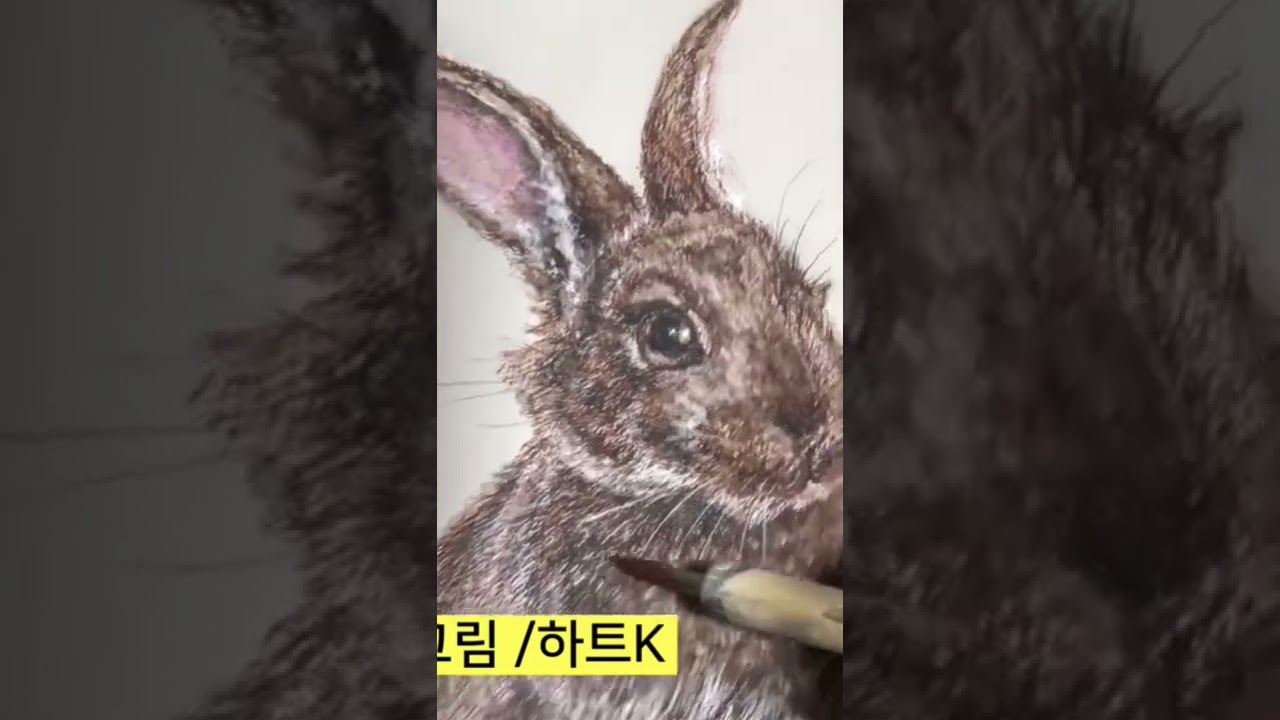 How to draw a cute rabbit.acrylic ink pen drawing/아크릴잉크 펜화 토끼그리는 방법 ...