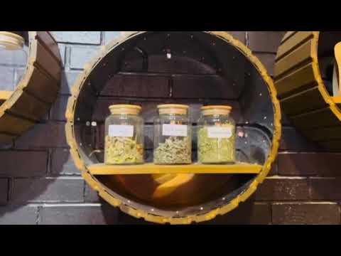 Barış Manço nane limon klip çalışması