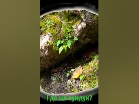 Где спрятан сундук? #shorts - YouTube