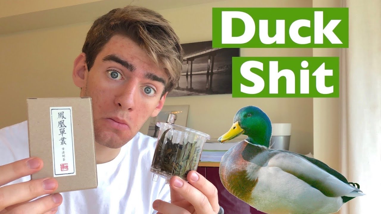 Duck Shit Tea - YouTube