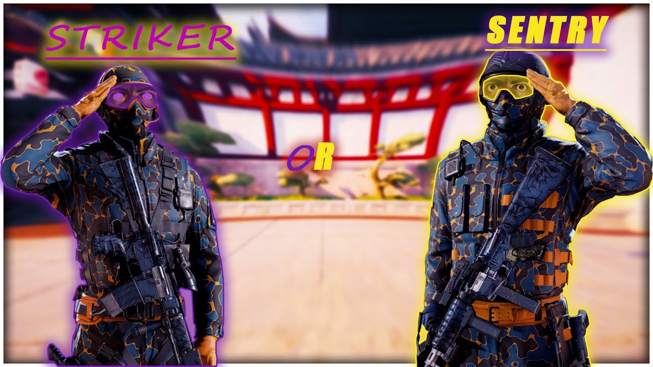 Striker or Sentry? - YouTube