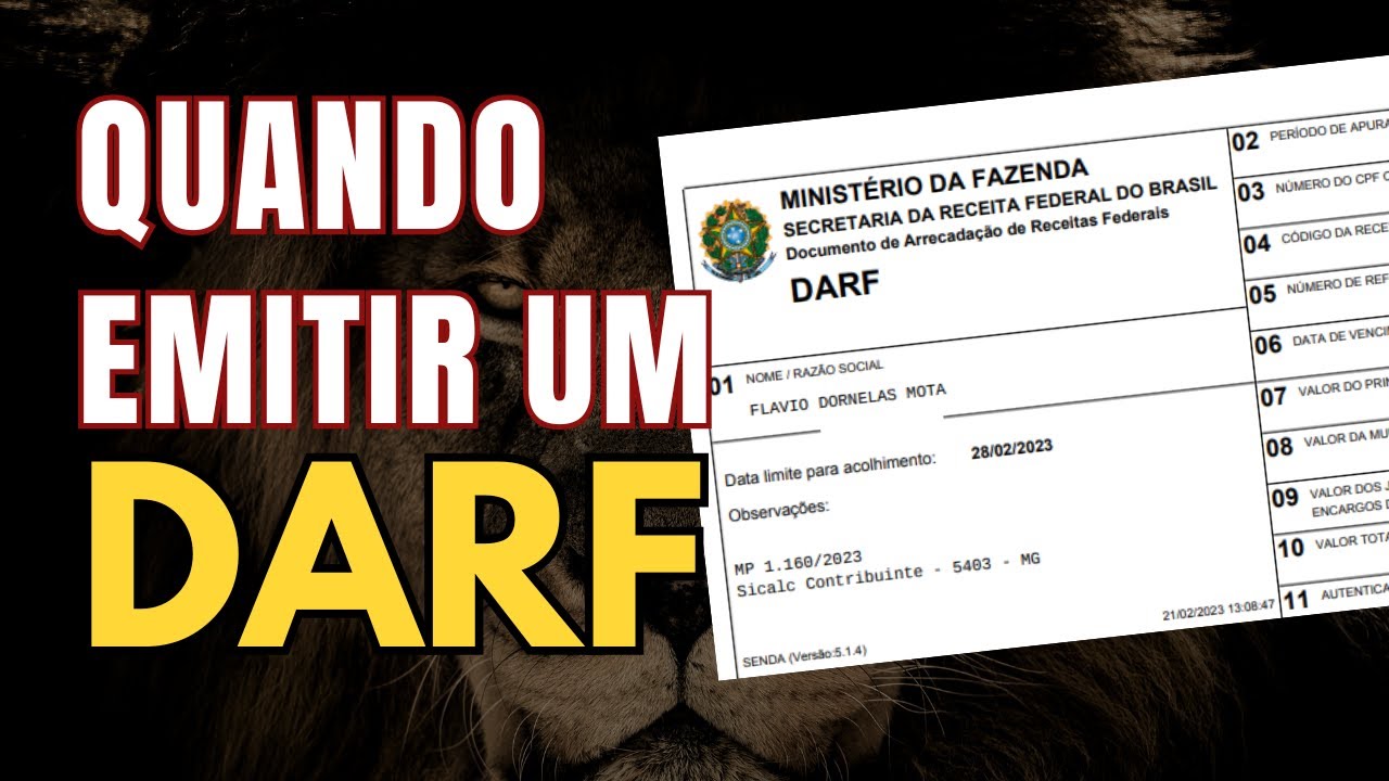 QUANDO e COMO devo gerar uma DARF para operações na BOLSA DE VALORES ...