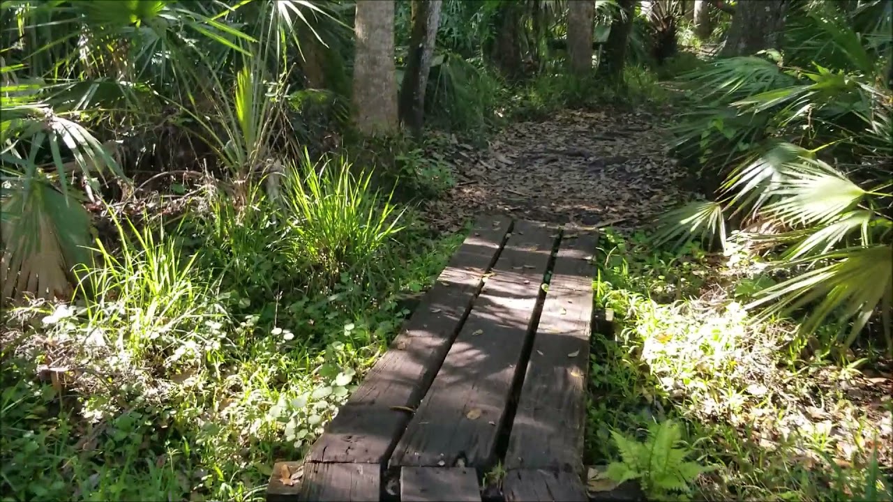 Hiking the Florida Trail to Boonie Falls - YouTube
