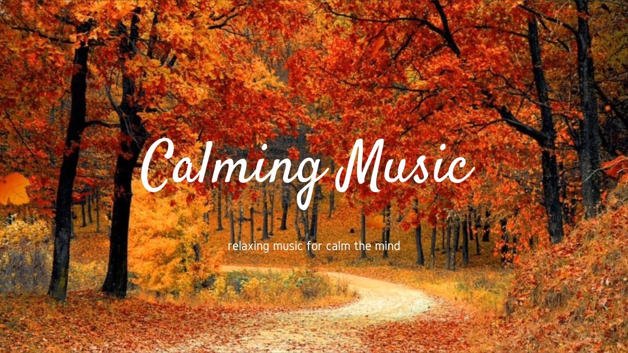 Autumn Forest and Relaxing Music | Calming Music | Beautiful Fall Leaf ...