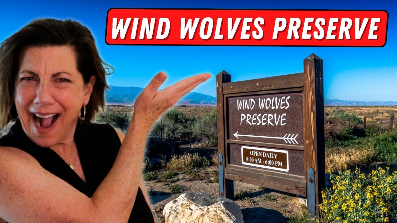 Explore The Wind Wolves Preserve In Bakersfield, California - YouTube