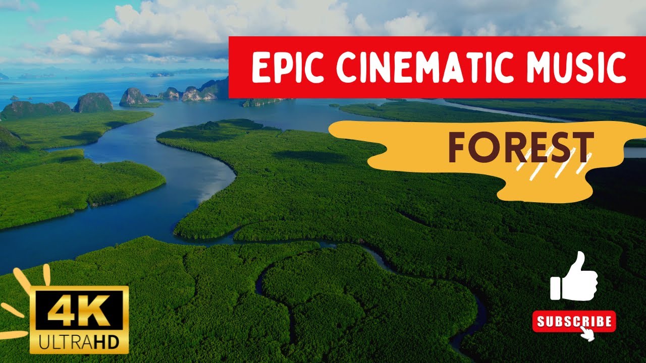 Epic Cinematic Music for the Forest and Nature Scenes 4K - YouTube