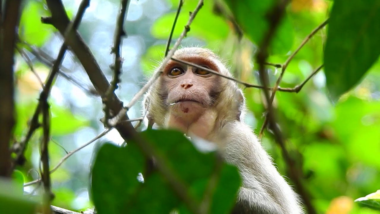 SO PITY ALBA WHO HAS A PROBLEM WITH INJURES.DON NOT KNOW THE CAUSE OF ...