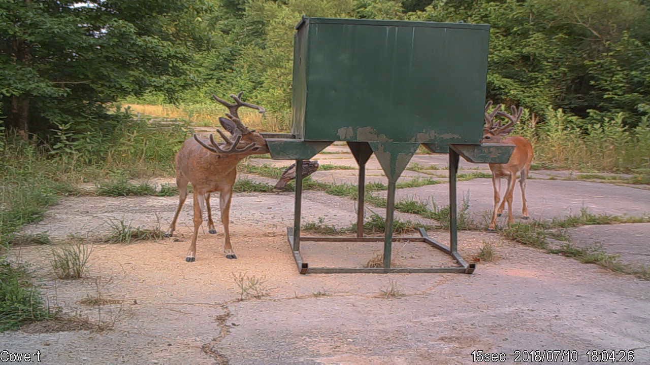 Bunker Buck - YouTube