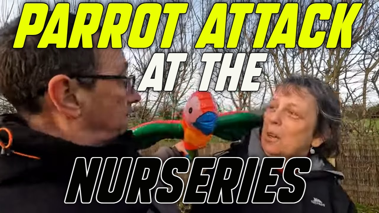 Parrot Attack - YouTube