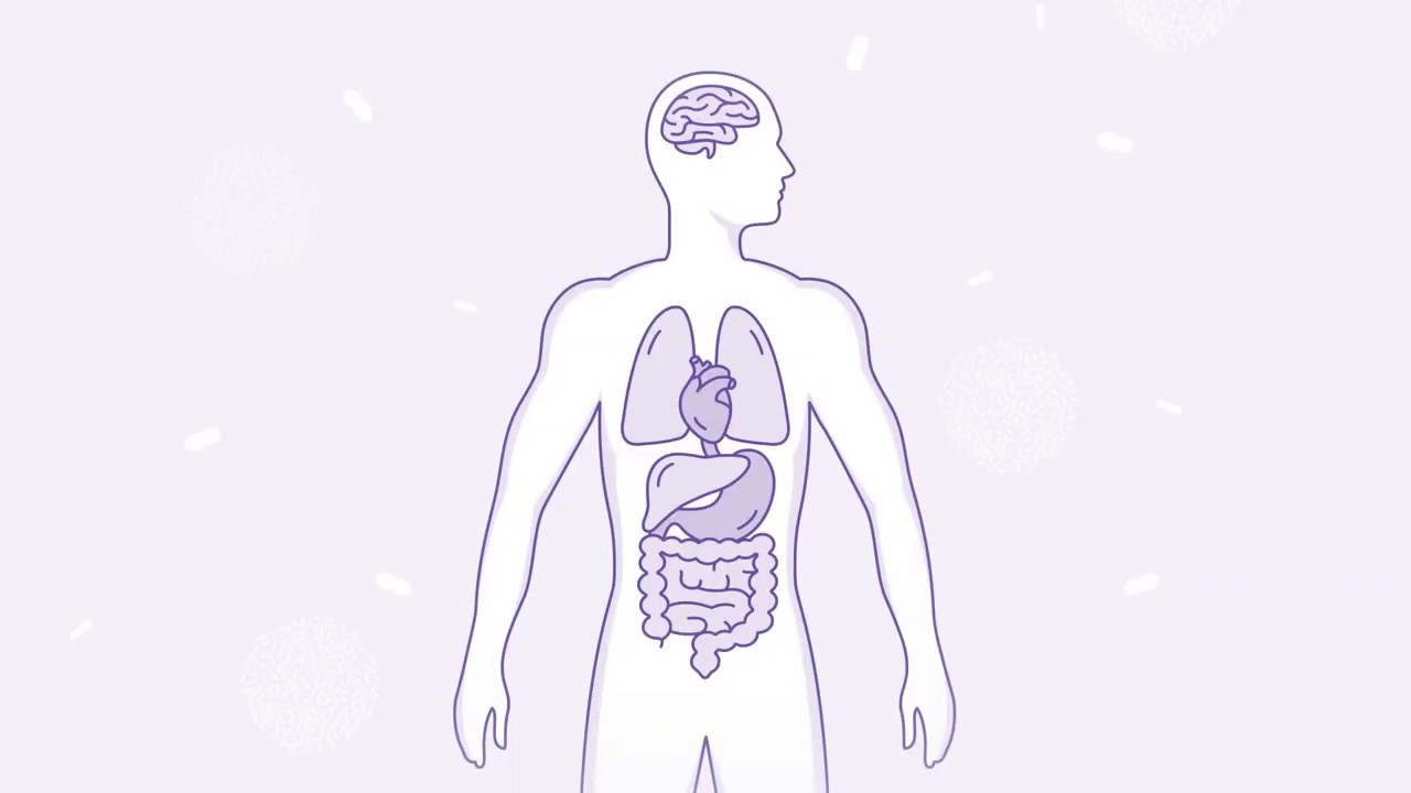 ASEA VIA - Biome Infografía en Español - YouTube