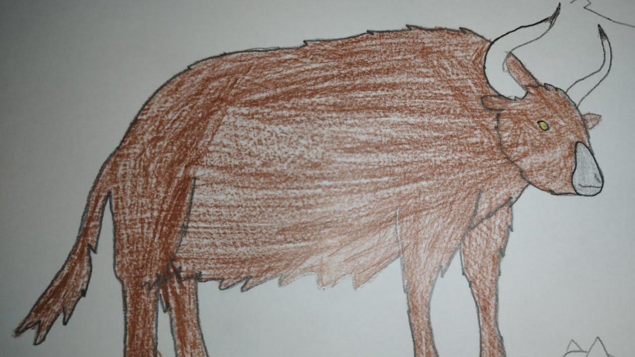 Sound Effects-Wild Yak - YouTube