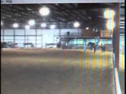 PRCA College & High School Calf Roping horse - YouTube
