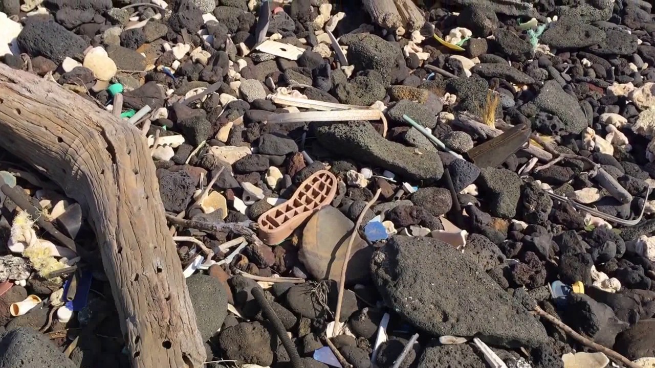 Great Pacific Garbage Patch on Hawaiian Beach in 2017 - YouTube