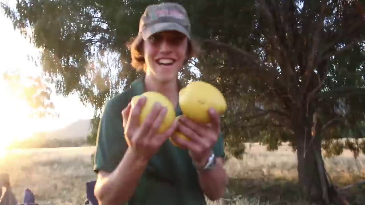 WILD BOAR Catch n Cook! DAMN LEMON Spit Roast Recipe!!! - YouTube