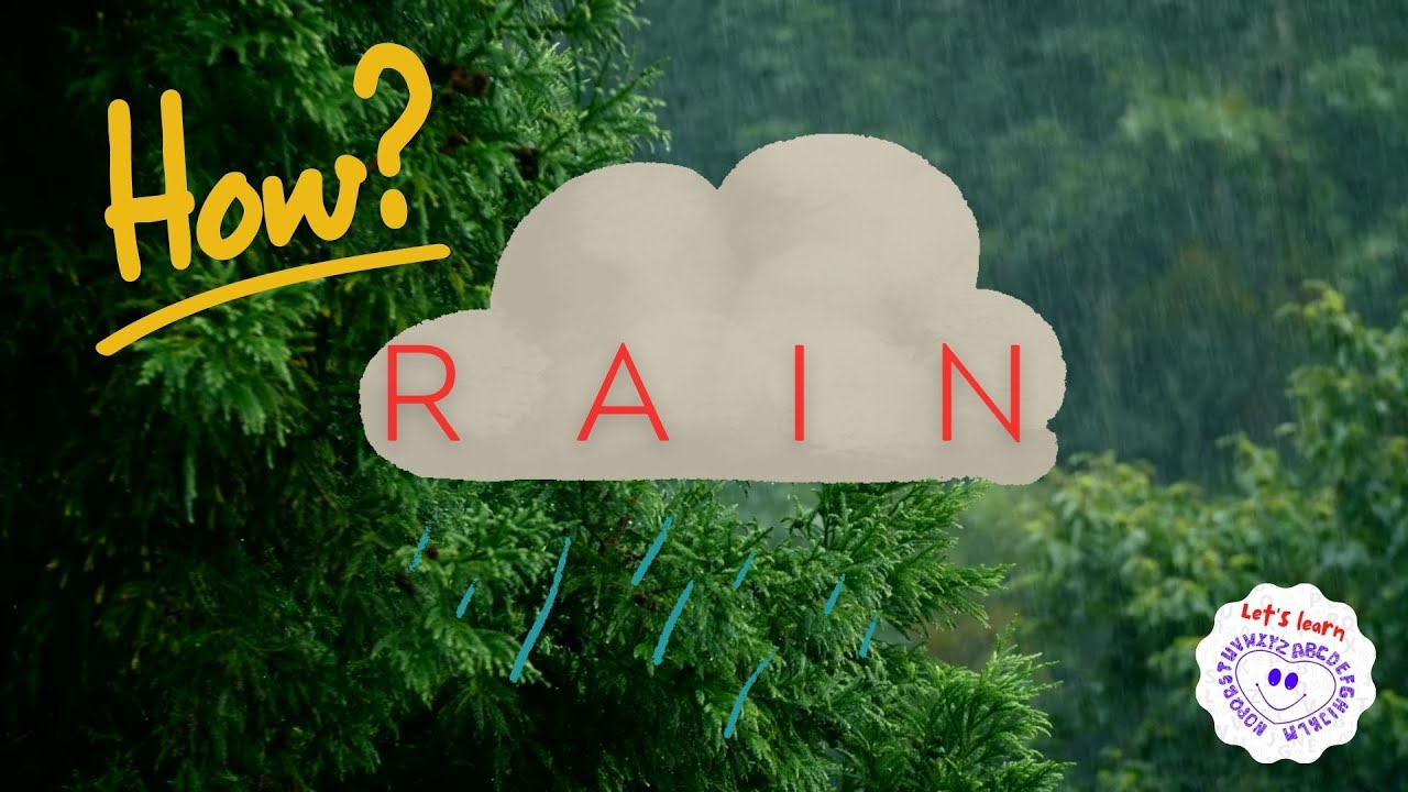 How Rain Happens / Kids Cartoon / Animated - YouTube
