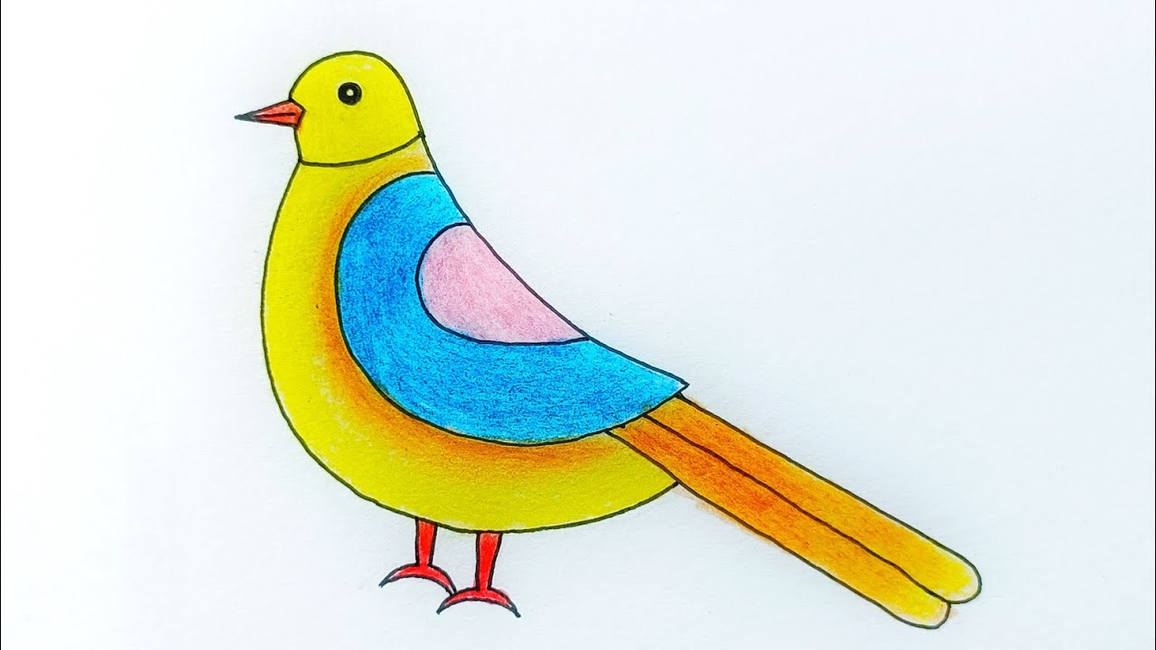 Bird Drawing For Beginners || How To Draw Bird Easy || Bird Drawing And ...