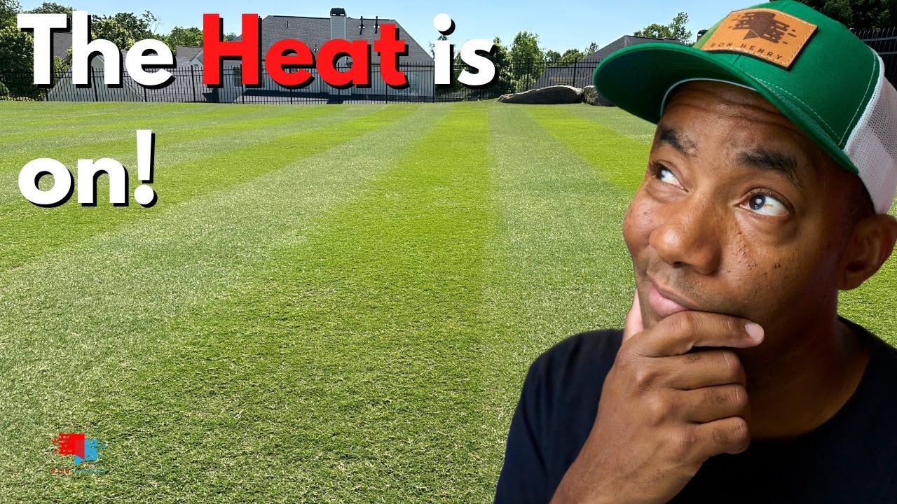 What to Expect Now that Temps are Rising 🔥- [Ron Henry - LIVE] - YouTube