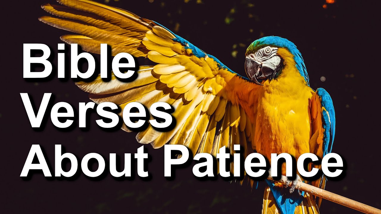 10 Bible Verses About Patience - Learn How To Be Patient According To ...