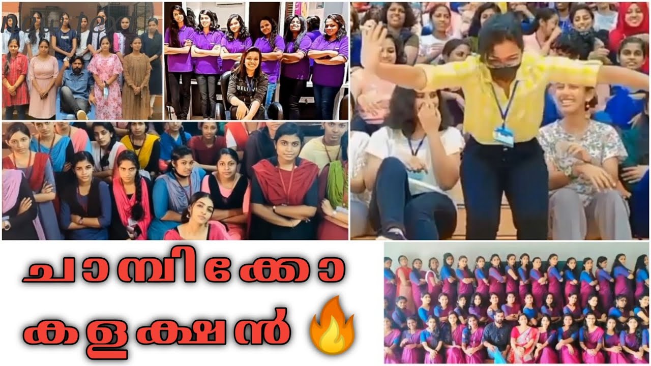 Chambikko collection /ചാമ്പിക്കൊ കളക്ഷൻ / trending now # bheeshma # ...