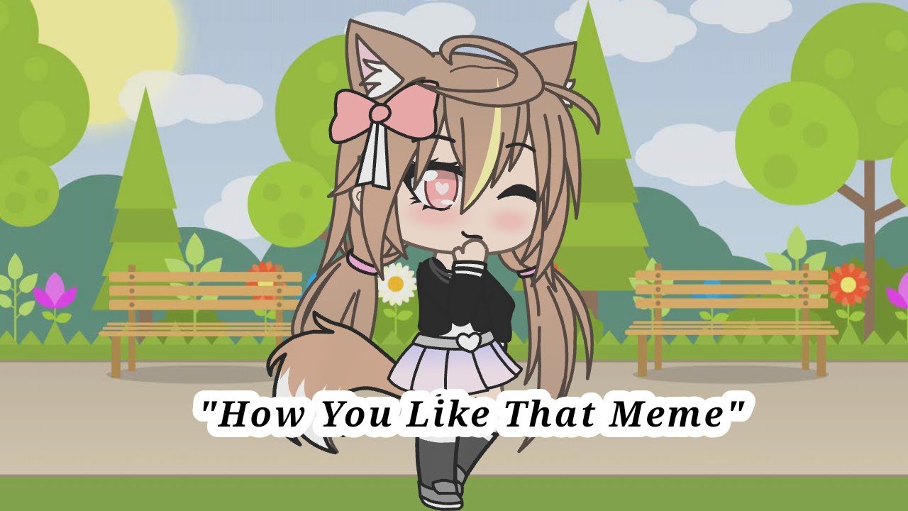"How You Like That Meme" 😂😅 - YouTube