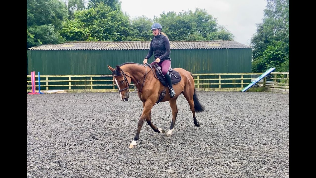 Templier (flatwork) - YouTube