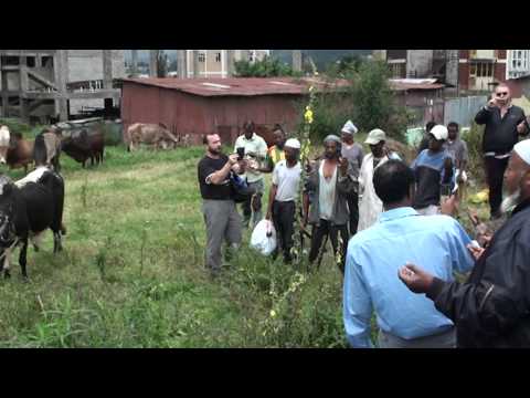 2014 KURBAN BAYRAMI 2.GÜN KESiM 01
