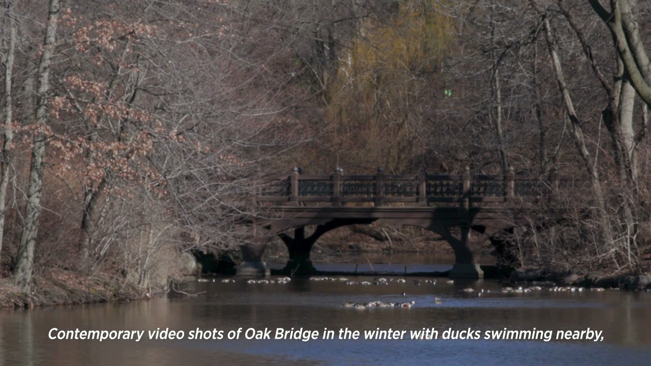Then & Now: Oak Bridge in Central Park (Audio Described) - YouTube